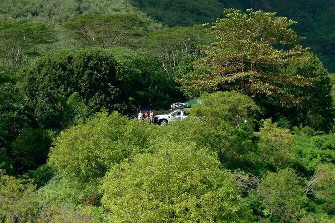 Moorea Cruise Ships: 4x4, Belvedere,Magic Mountain pineaple - Authentic Experiences and Traveler Feedback