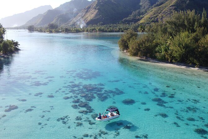 Mo'orea Half Day Private Tour with Snorkeling and Cruising the Lagoon - Who Should Consider This Tour?