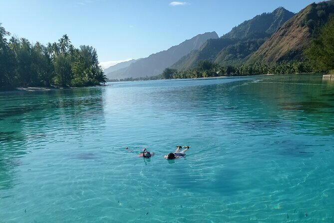 Mo'orea Half Day Private Tour with Snorkeling and Cruising the Lagoon - FAQ