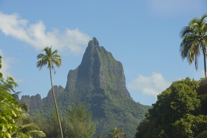 Moorea Highlights Private Tour: Natural and Cultural Attraction - Key Points