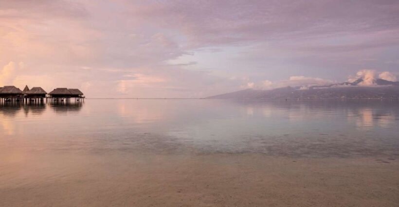 Moorea Highligts: Blue Lagoon Shore Attractions and Lookouts - Discover the Best of Moorea with a Full-Day Tour
