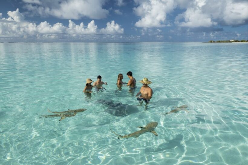 Moorea Highligts: Blue Lagoon Shore Attractions and Lookouts - FAQ