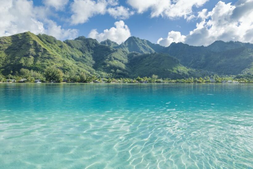 Moorea Highligts: Blue Lagoon Shore Attractions and Lookouts - Optional Lagoon Tour: Snorkeling with Rays and Sharks