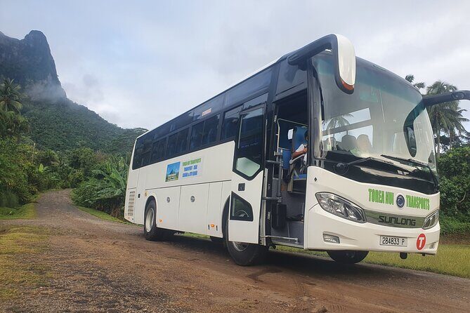 Moorea Island Tour - The Practical Side: Transportation, Timing, and Group Size