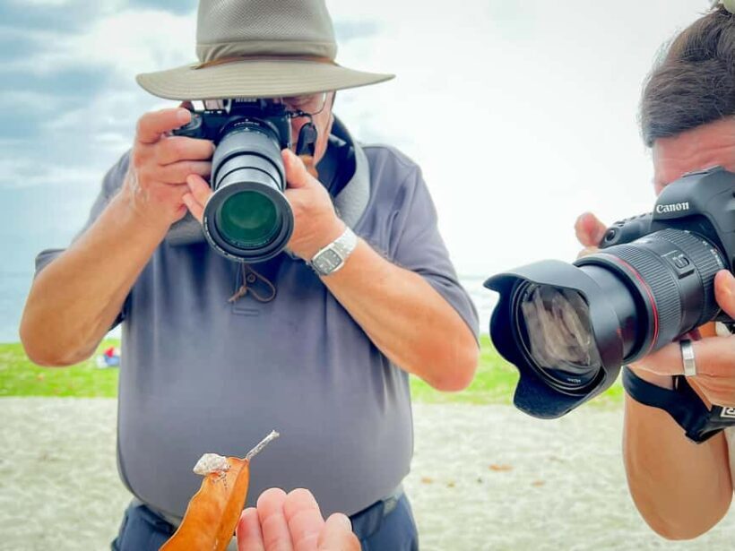 Moorea photographic excursion in private and adapted session - Authentic Feedback from Participants
