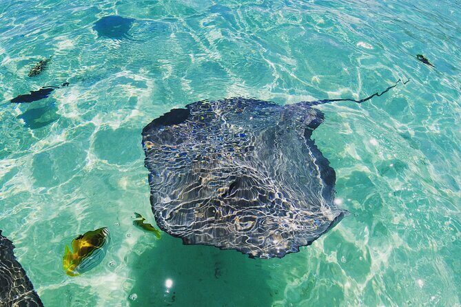 Moorea Solo or Twin 2 hours Jet Ski Tour - Final Thoughts: Is It Worth It?