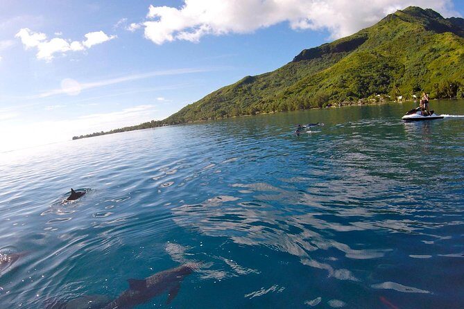 Moorea Solo or Twin 3 hours Jet Ski Tour - FAQ
