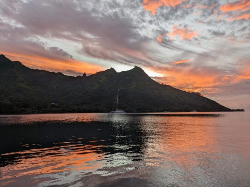 Moorea: Whale watching adventure - Practical Details That Matter