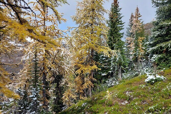 Moraine Lake: Larch Valley Hike, Departure from Banff - The Practicalities