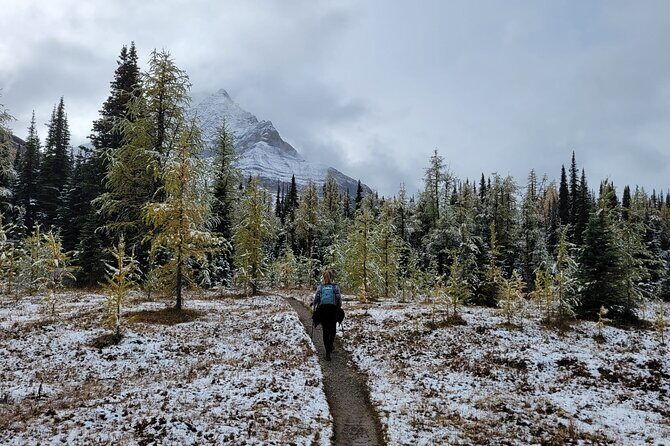 Moraine Lake: Larch Valley Hike, Departure from Banff - Authentic Experiences and Authenticity
