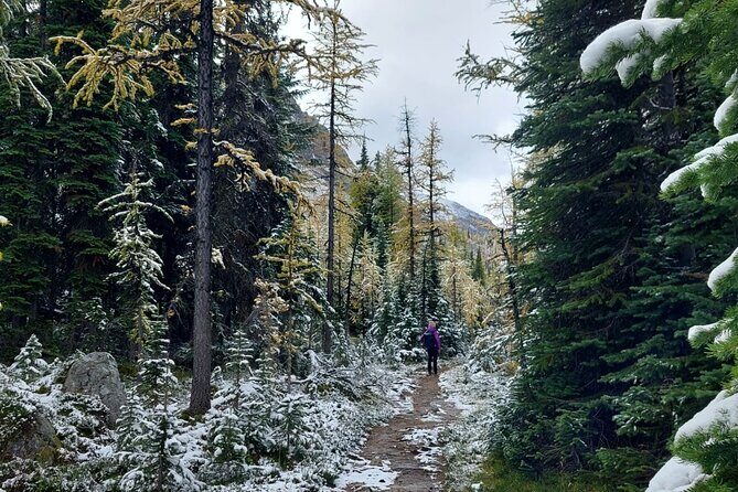 Moraine Lake: Larch Valley Hike, Departure from Banff - Who Will Love This Tour?