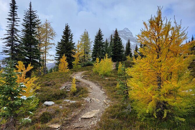 Moraine Lake: Larch Valley Hike, Departure from Banff - The Sum Up