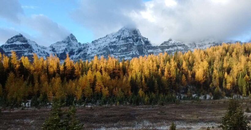 Moraine Lake & Larch Valley Hike - What You Can Expect on This Hike