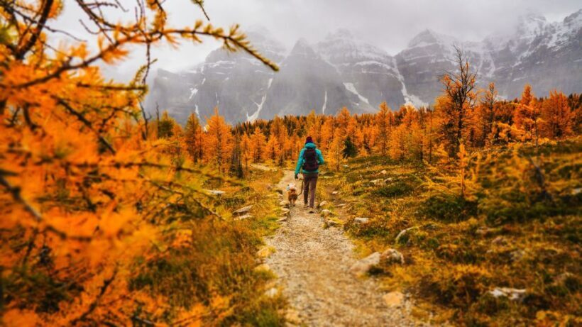 Moraine Lake & Larch Valley Hike - Authentic Experiences and Authentic Guides