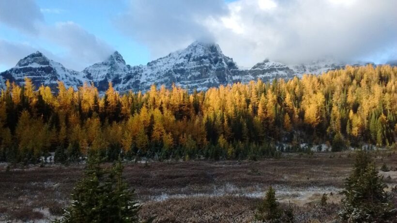 Moraine Lake & Larch Valley Hike - The Sum Up