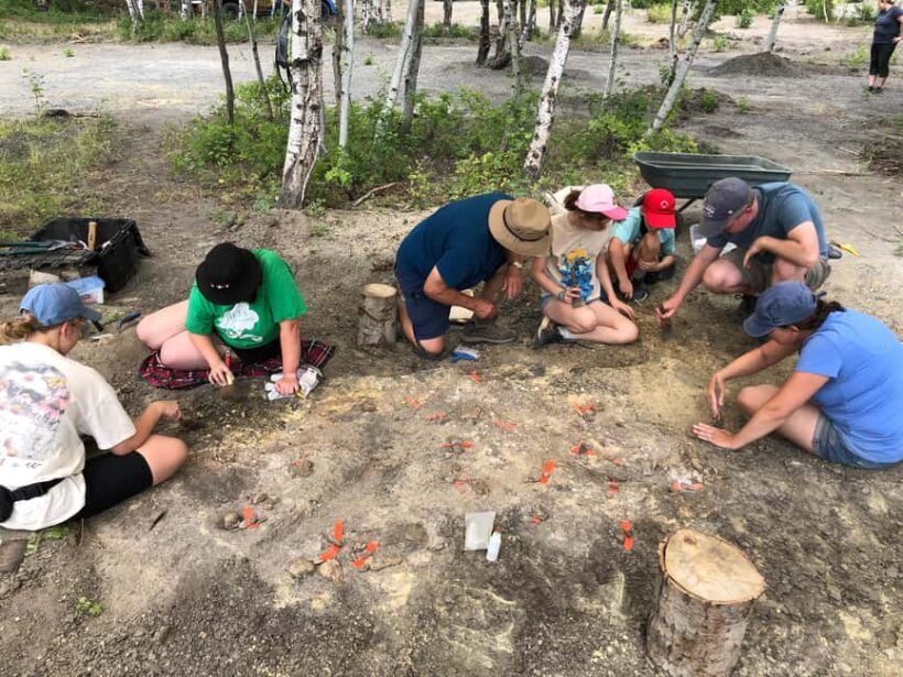 Morden, Manitoba: Full-Day Fossil Dig Tour with Instructor - Authentic Experiences and Why They Matter