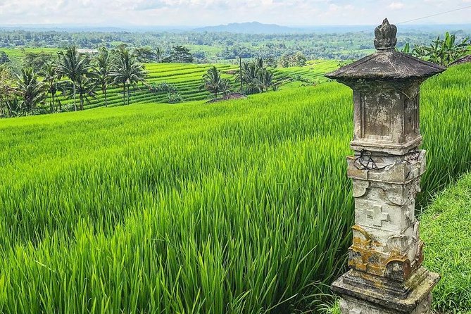 More Complete: Discover Bali In 3 Days Private Tour Package - Final Thoughts