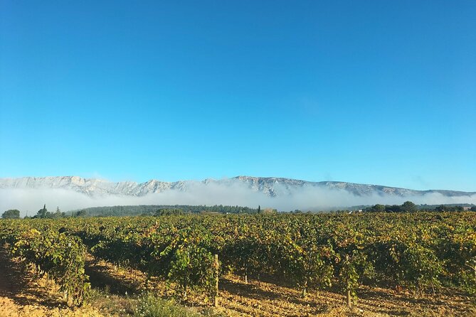 More than a wine tour : day like a local in authentic countryside - FAQs