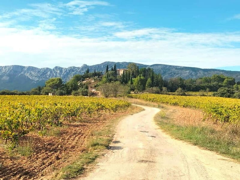 More than a wine tour : day like a local in the countryside - Authenticity and the Provençal Experience
