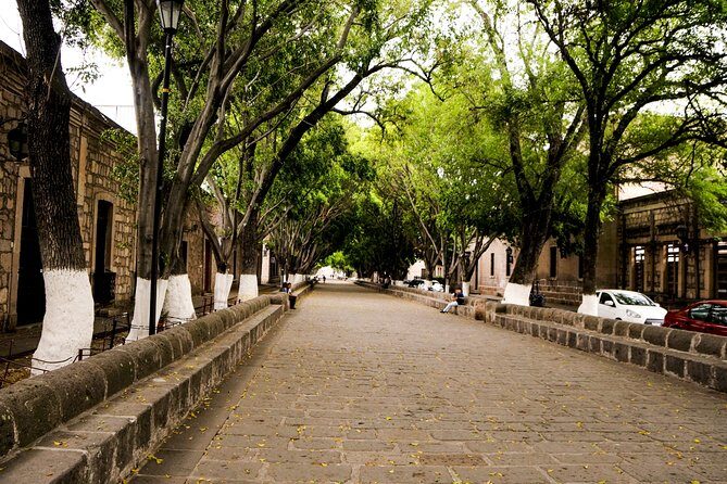 Morelia City Tour - Who Will Love This Tour?