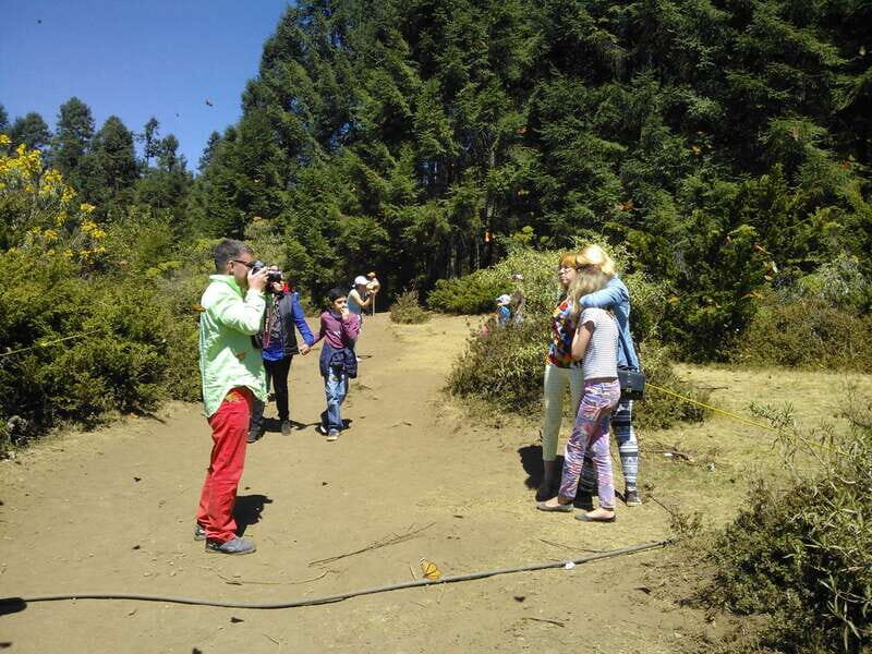 Morelia: Monarch Butterfly Tour - Key Points