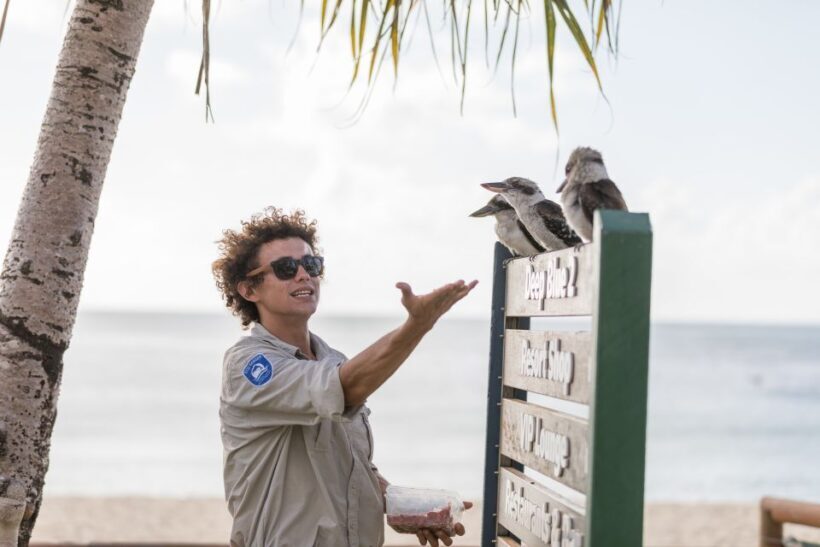 Moreton Island: Desert Safari Tour & Dolphin Viewing - Moreton Island: Desert Safari Tour & Dolphin Viewing – A Fun-Filled Day of Adventure and Relaxation