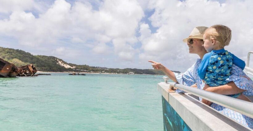 Moreton Island: Marine Discovery Cruise & Dolphin Viewing - Who Should Consider This Tour?
