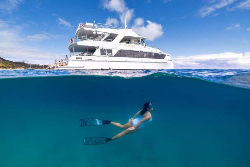 Moreton Island: Premium Tangalooma Snorkel & Dolphin Tour - Key Points
