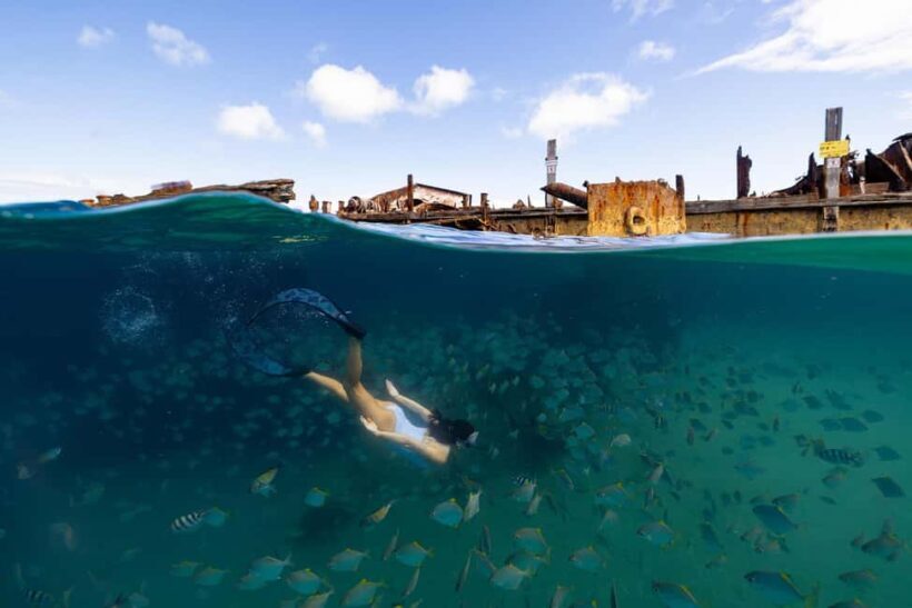 Moreton Island: Premium Tangalooma Snorkel & Dolphin Tour - Practical Details and Tips