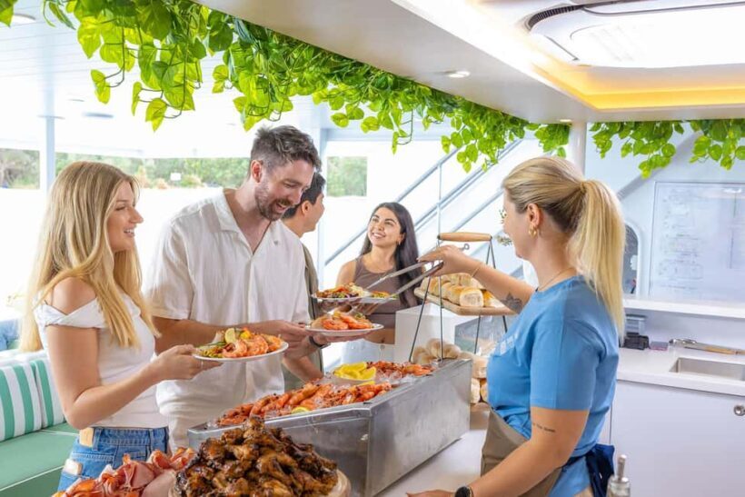 Moreton Island: Premium Tangalooma Snorkel & Dolphin Tour - Summary: Is This Tour Right for You?