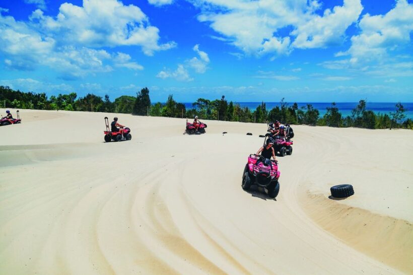 Moreton Island: Tangalooma ATV Quad Bike and Dolphin Viewing - Key Points