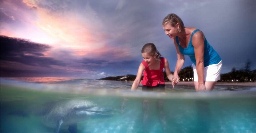 Moreton Island: Tangalooma ATV Quad Bike & Dolphin Feeding - Who Would Love This Tour?