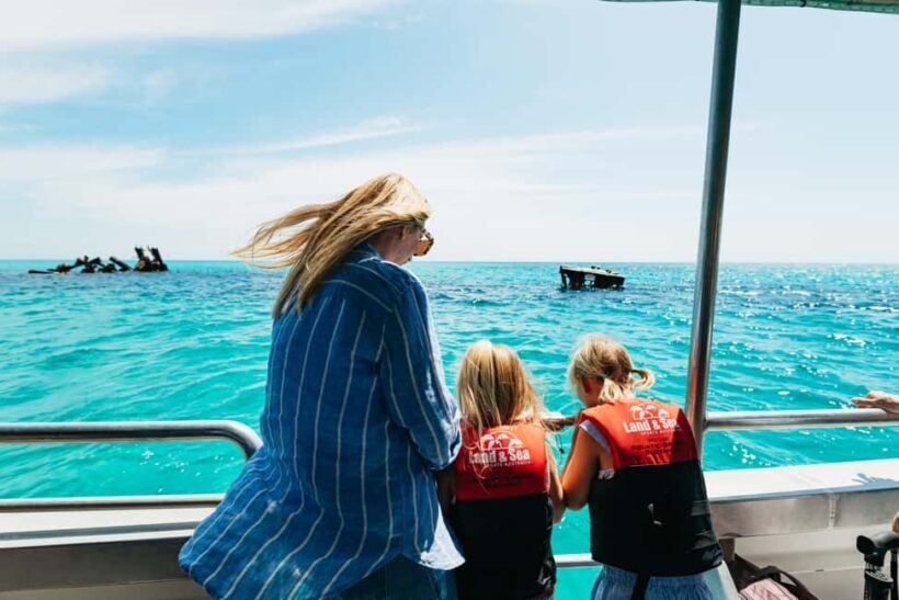 Moreton Island: Tangalooma Day Trip Marine Discovery Cruise - Introduction