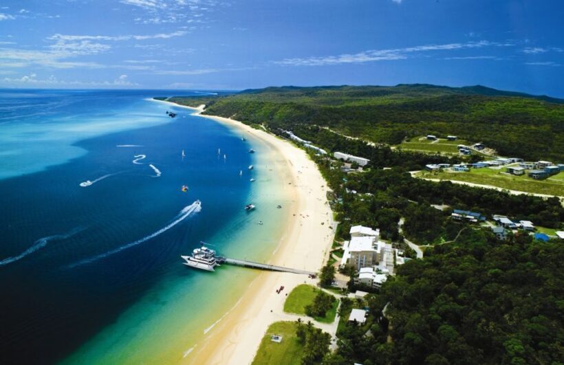 Moreton Island: Tangalooma Day Trip Marine Discovery Cruise - Return Journey and Final Thoughts