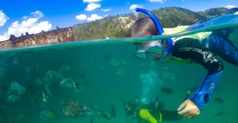 Moreton Island: Tangalooma Day Trip with Snorkeling Tour - Key Points