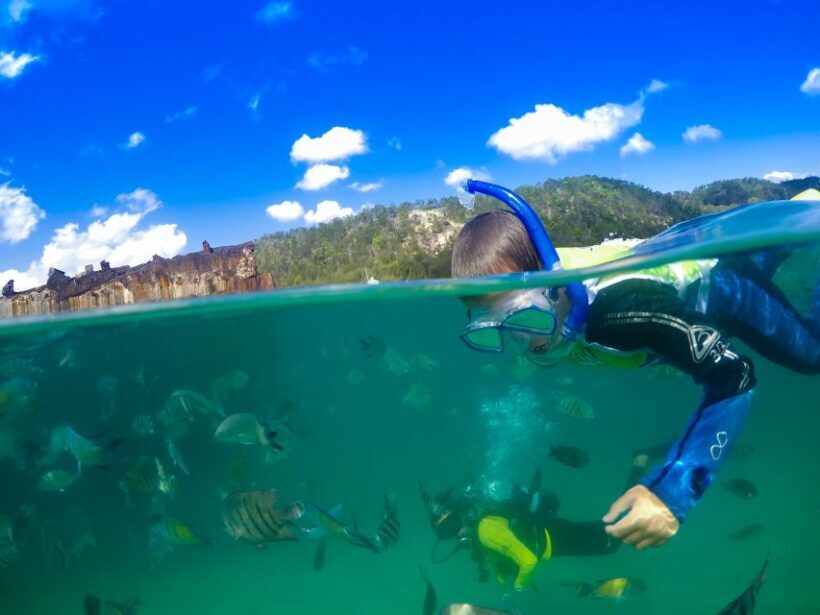 Moreton Island: Tangalooma Day Trip with Snorkeling Tour - The Journey Begins in Brisbane