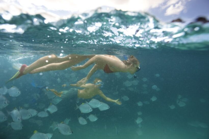 Moreton Island: Tangalooma Day Trip with Snorkeling Tour - Returning to Brisbane