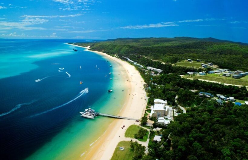 Moreton Island: Tangalooma Desert Safari and Dolphin Feeding - Key Points