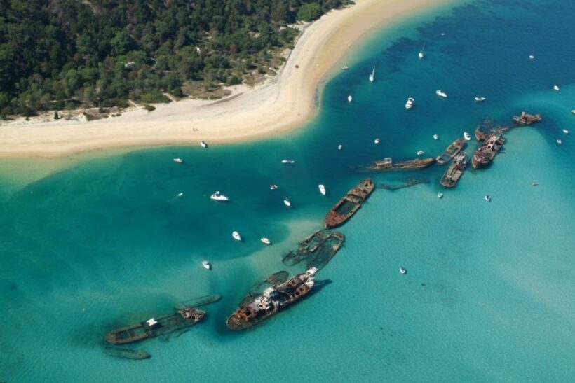 Moreton Island: Tangalooma Snorkelling with Dolphin Viewing - The Sum Up