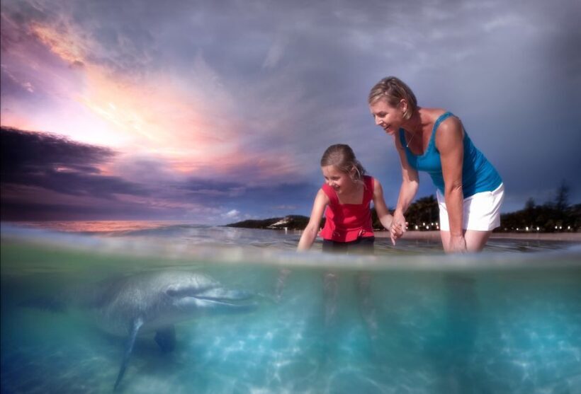 Moreton Island: Tangalooma Whale Watching & Dolphin Feeding - Frequently Asked Questions