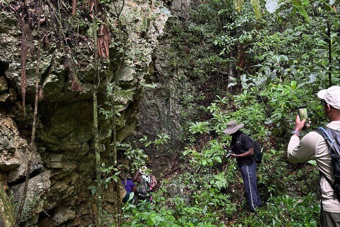 Morgan's Pond Cave and Christiana Extinct Volcanic Crater Hike - Who Should Book This Tour?