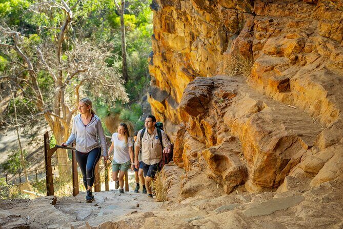 Morialta Wilderness and Wildlife Hike - FAQs About the Morialta Wilderness and Wildlife Hike