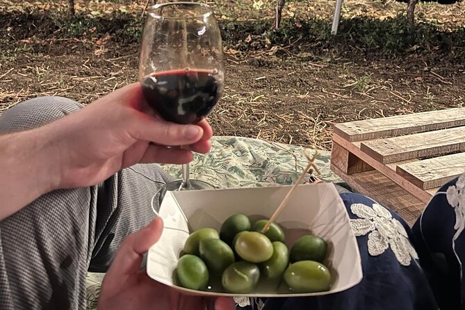 Morigine Wine Lovers-Aperitif in the Vineyard at Sunset - Key Points