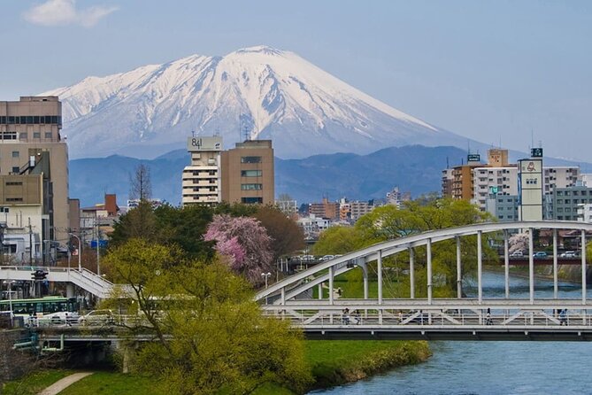 Morioka Full-Day Private Tour With Government-Licensed Guide - Booking Information