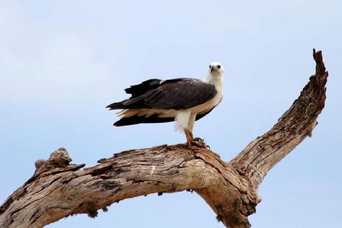 Morning 07 Hour Private Safari at Yala National Park by Yala La Safari Tours - FAQ