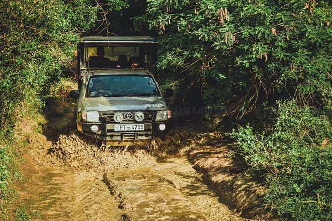 Morning 07 Hour Shared Safari at Yala National Park by Yala La Safari Tours - FAQ