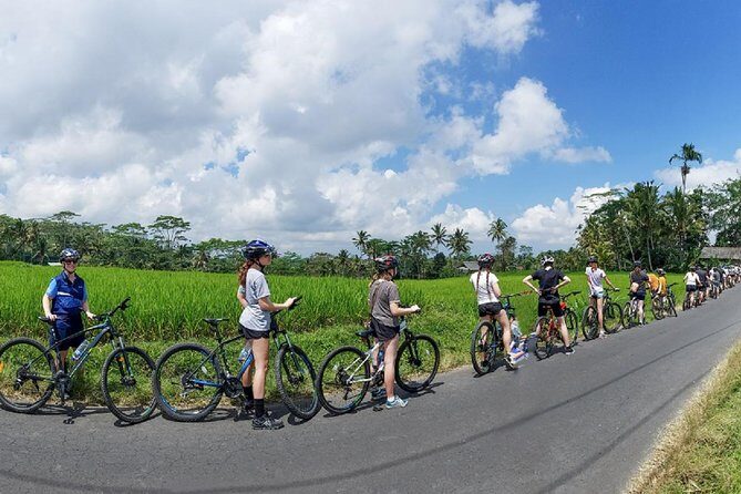 Morning Best Bali Cycling Kintamani Tour - What You Can Expect from the Tour