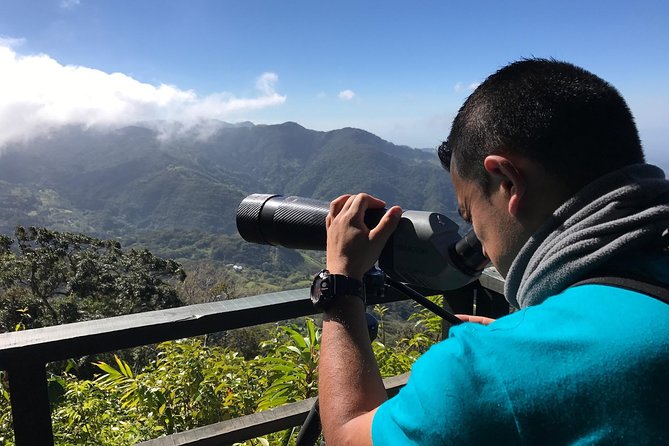 Morning Birdwatching Experience (Small Groups) - Cancellation Policy and Additional Information