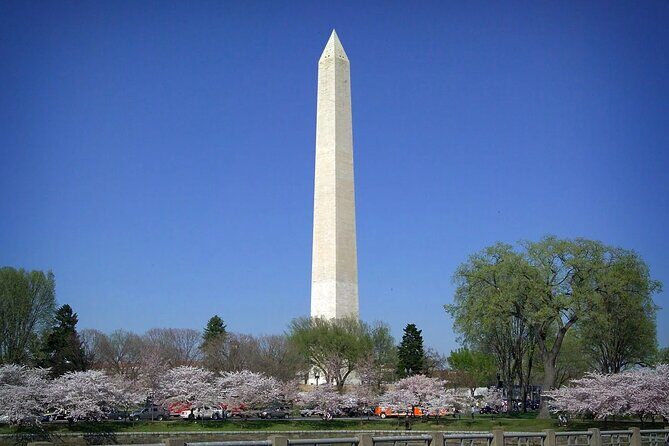 Morning Cherry Blossom Bus Tour with Washington Monument Ticket - Key Points