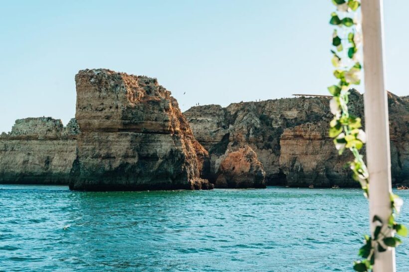 Morning Coastal Cruise - Who Will Enjoy This Tour?